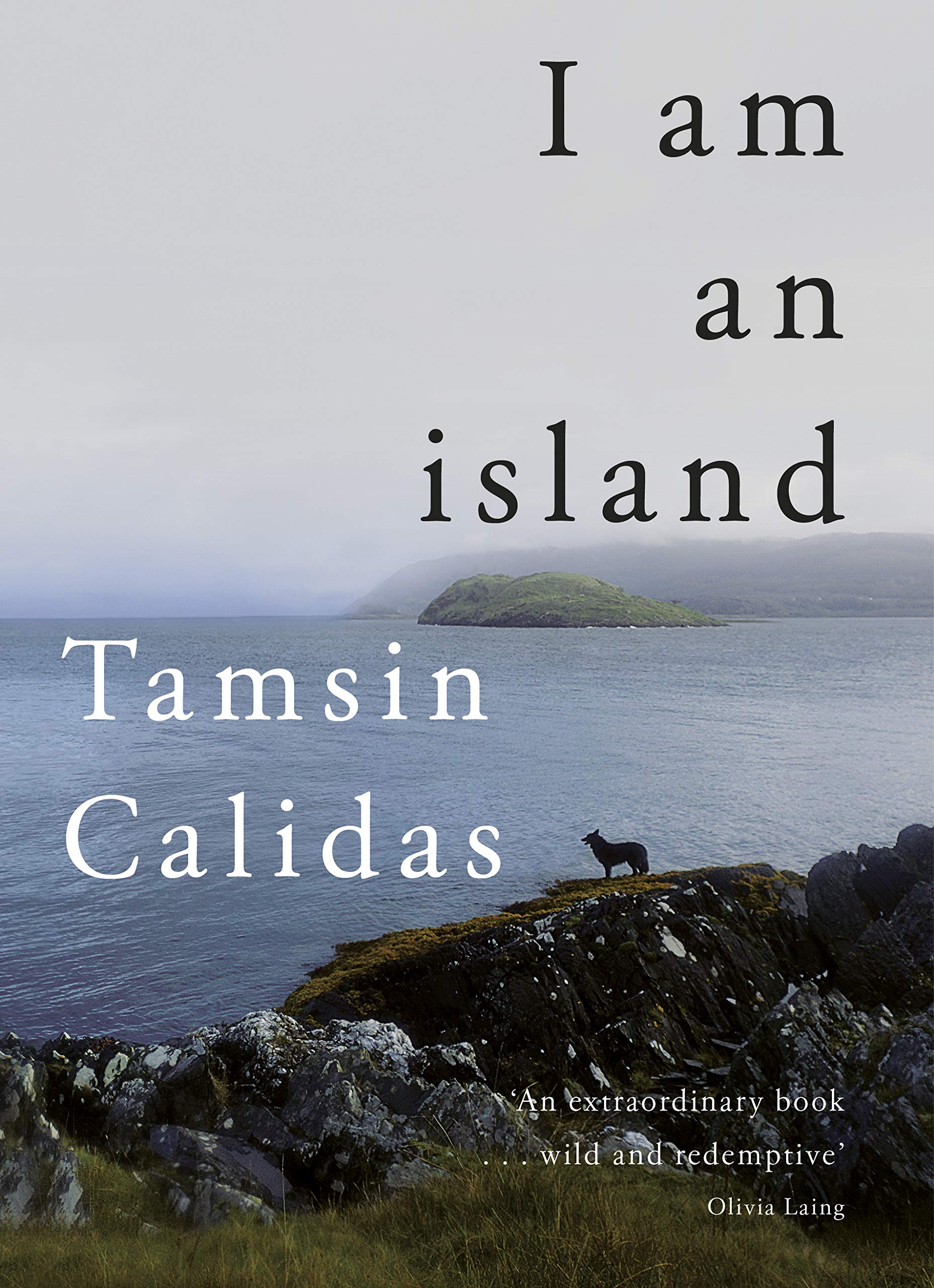 Review:“I am an Island” by Tamsin Calidas (2020) Assessment 3 out of 10 ...